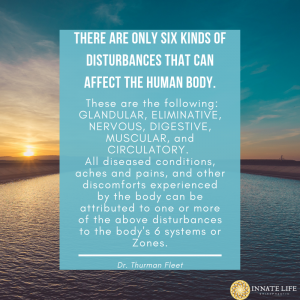 Zone Technique | Chiropractic Care | Innate Life Chiropractic